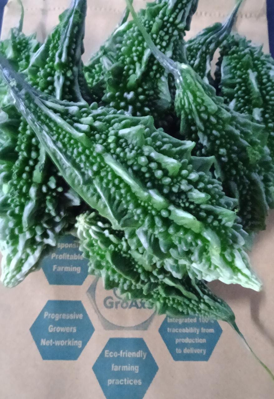 Bitter Gourd (500 g) - GroAxo